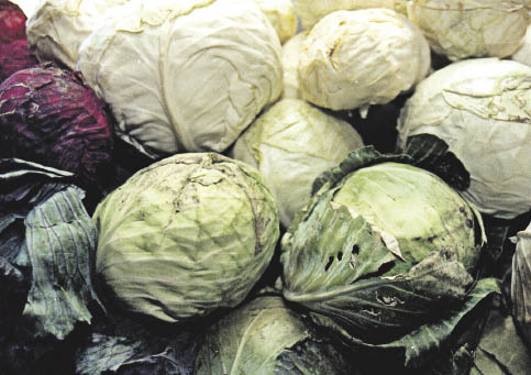 Edición impresa del 11/11/2009 | : : El Litoral - Noticias - Santa Fe ...