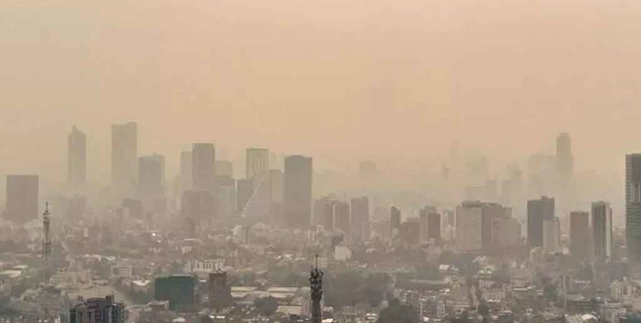 En el Día Mundial del Medio Ambiente, la ONU alerta sobre la ...