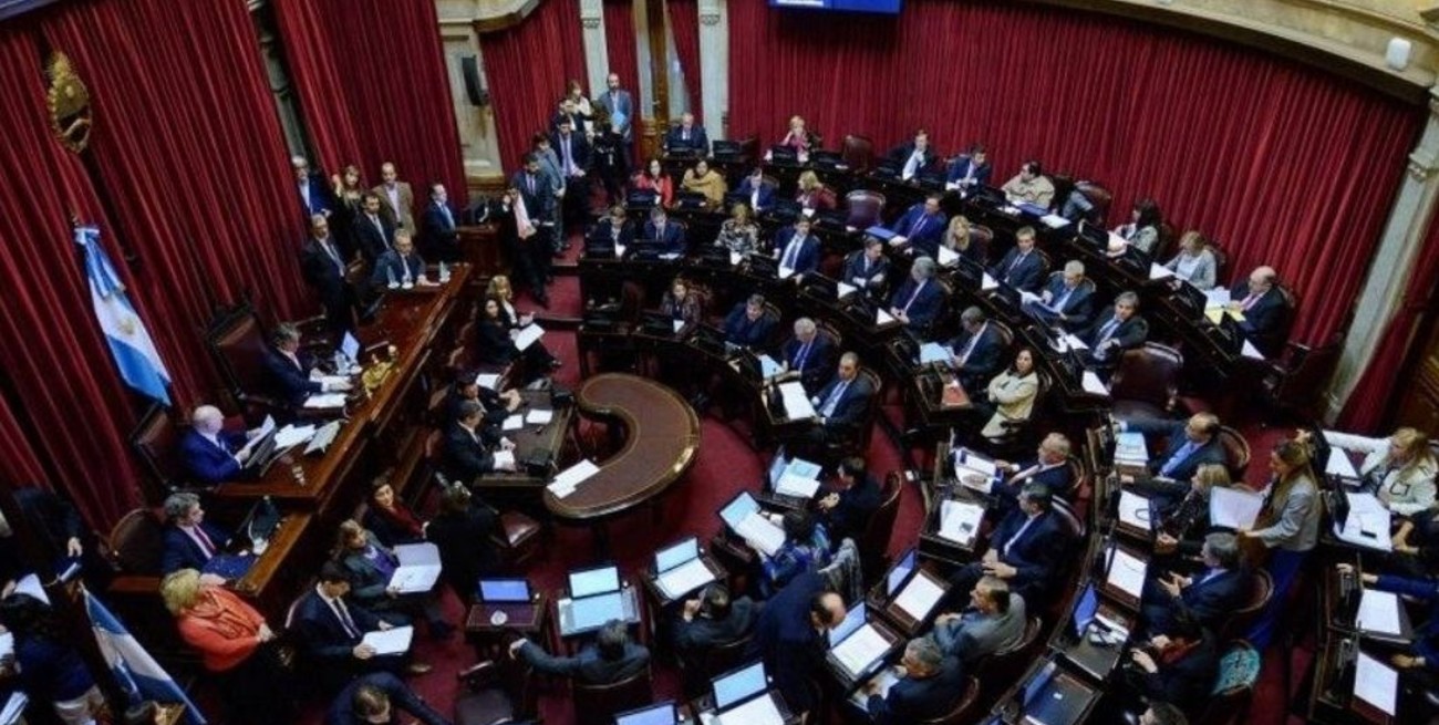El Senado Trata Nuevamente Las Jubilaciones De Privilegio El Litoral 5774