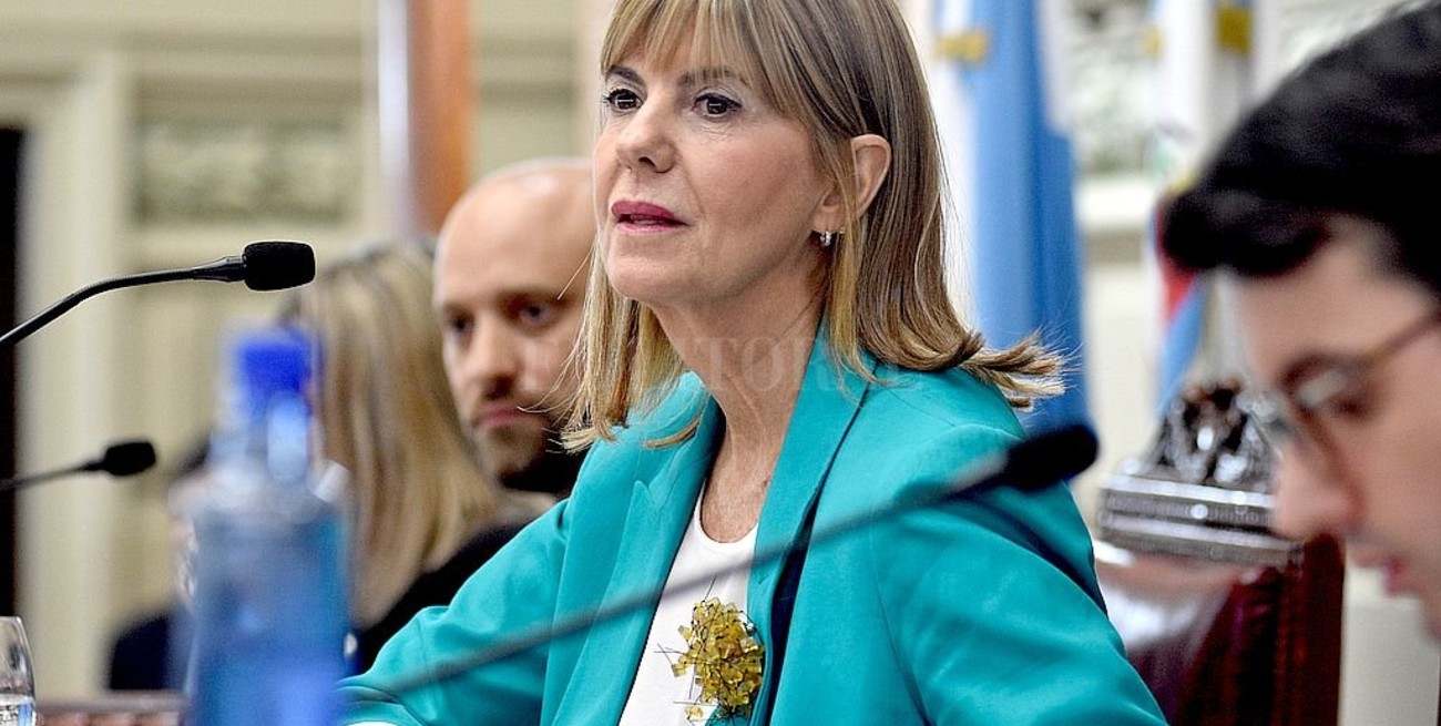 Rodenas: "Tienen un plazo las facultades extraordinarias"