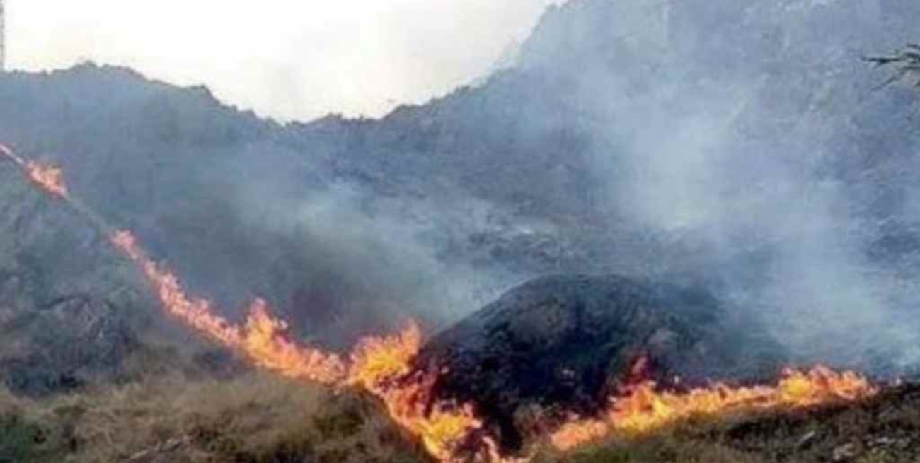 Controlaron un incendio forestal en las cercanías de Machu Picchu