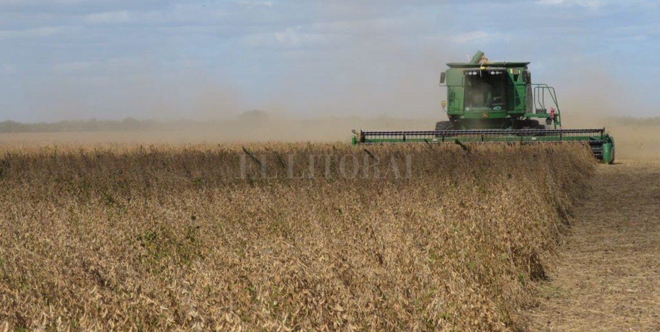 Ya se cosechó el 80 % de la soja