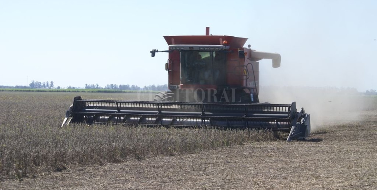 Como garantizar la eficiencia de la cosecha de granos gruesos