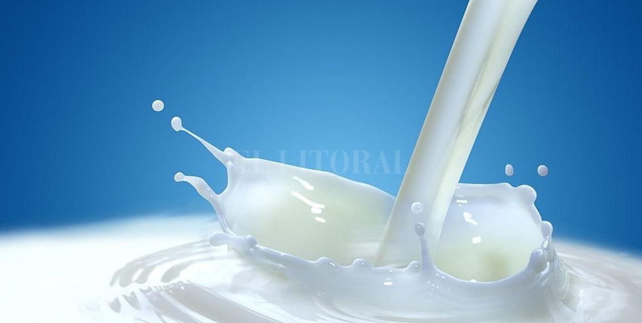 Desarrollan la primer tecnología nacional para pasteurizar leche envasada