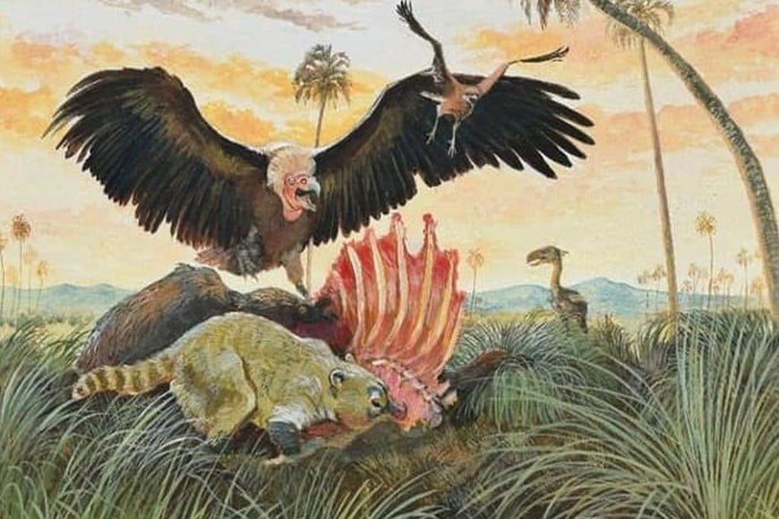 Un hallazgo paleontológico que estremeció los cielos de la región ...