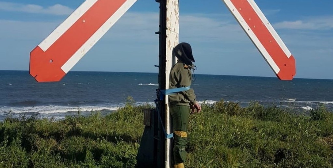 Un piloto francés fue atado a un poste como blanco bajo el fuego de ...