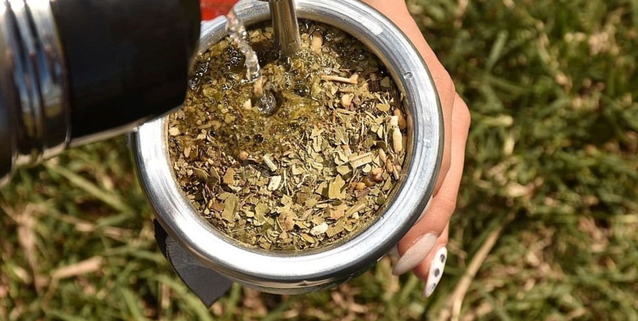 Importante hallazgo argentino sobre los beneficios del mate contra el ...