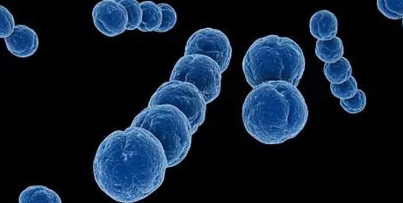 Alerta en Gran Bretaña por un brote mortal de bacteria estreptococo A