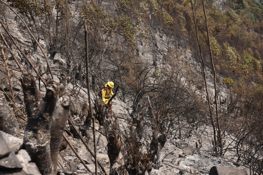 Bolivia en llamas: cuatro regiones afectadas por incendios forestales