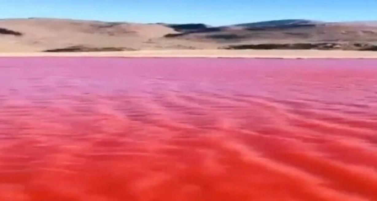 Video: el Río Nilo se tiñó de rojo y desata todo tipo de especulaciones ...