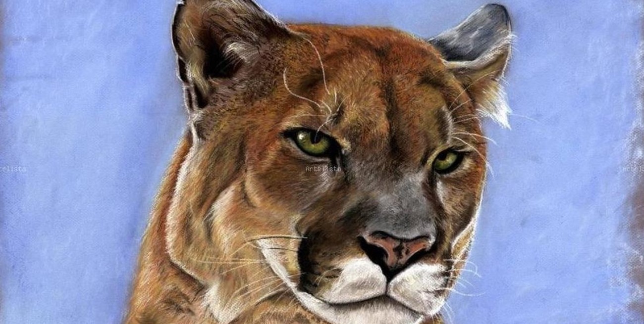 La Revelación del Puma