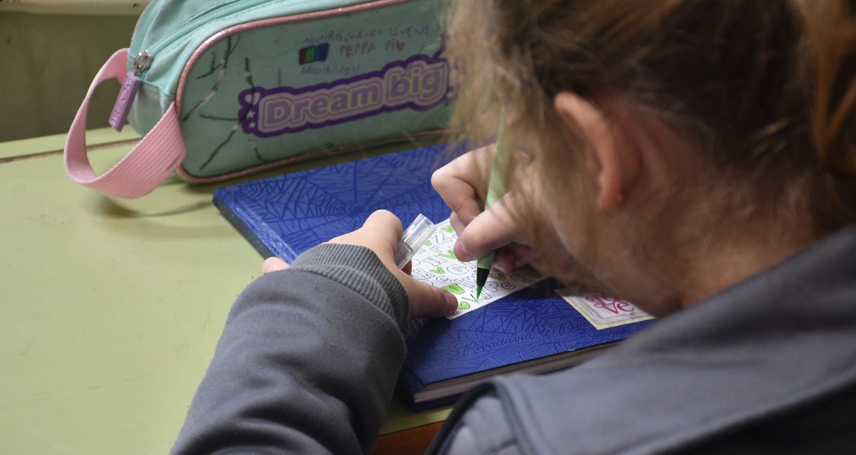 "Un niño que va a la escuela y no aprende a leer y escribir, sufre ...