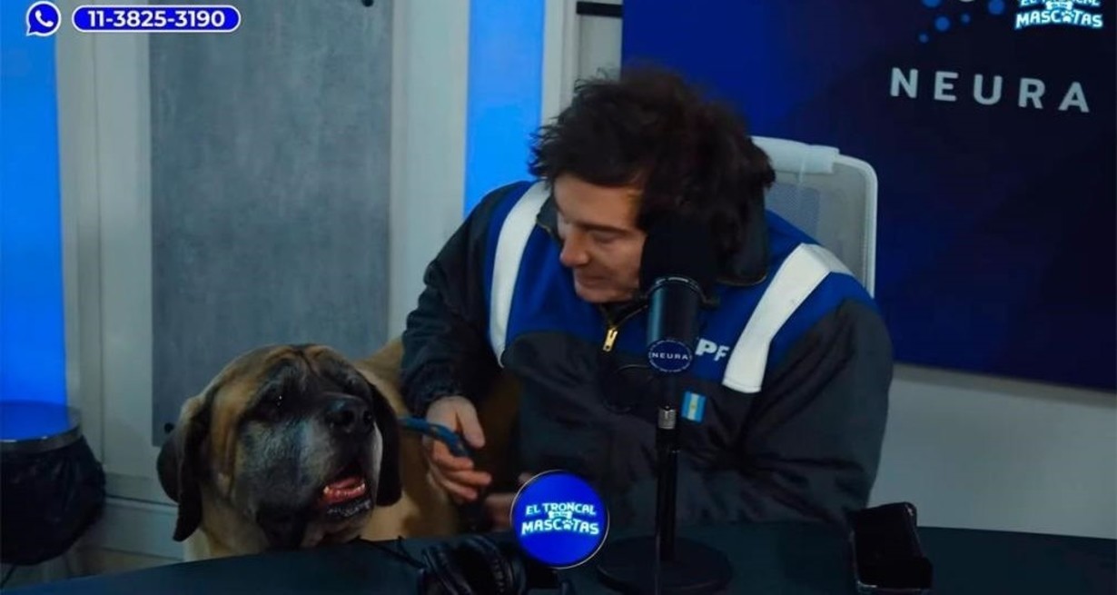"Acá está": Javier Milei apareció con su perro Conan en un streaming ...