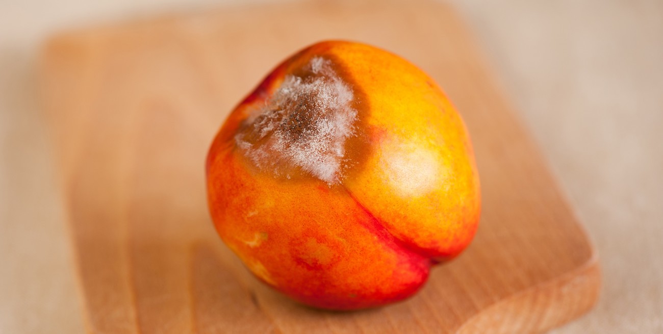 ¿Qué hacer cuando aparece moho en la fruta? Por qué no basta con cortar ...