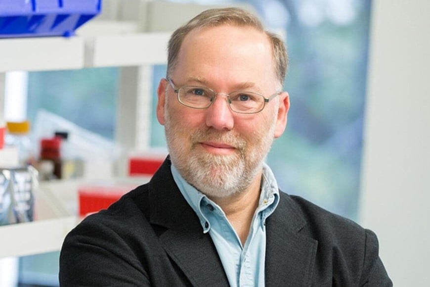 Mary E. Brunkow, Fred Ramsdell y Shimon Sakaguchi recibieron el Nobel de Medicina
